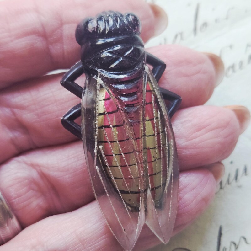 Cicada Brooch - Etsy