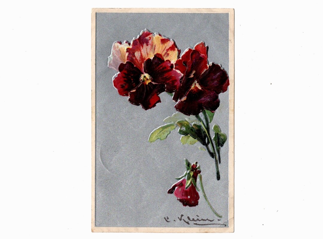 Antique Catherine Klein Signed Postcard, Purple Pansies on Silver ...