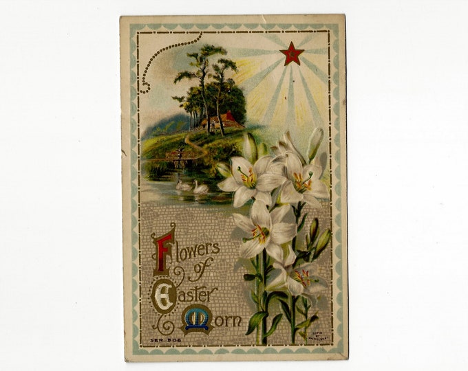 1917 Antique Easter Postcard Flowers of Easter Morn Lilies - Etsy