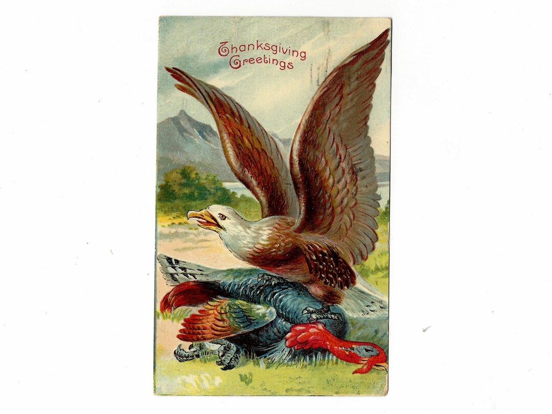 Antique Thanksgiving Postcard, American Bald Eagle and Turkey, Eagle ...