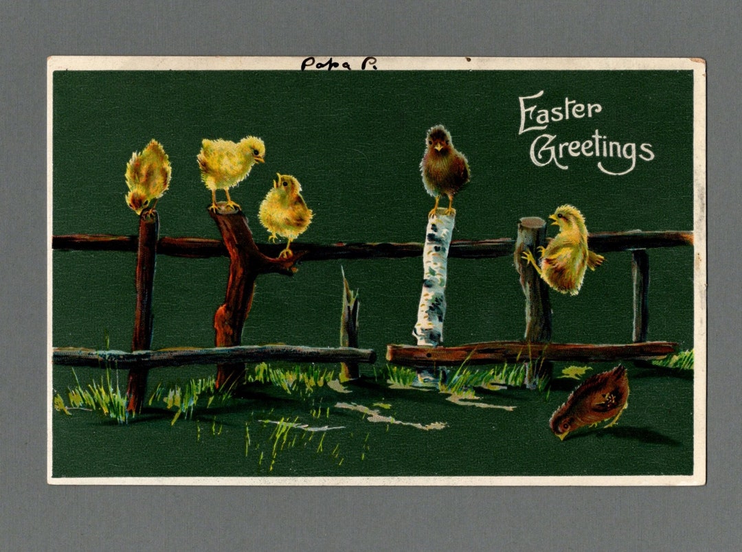 Antique Easter Postcard, Baby Chicks on a Fence, Illustrated Postal ...