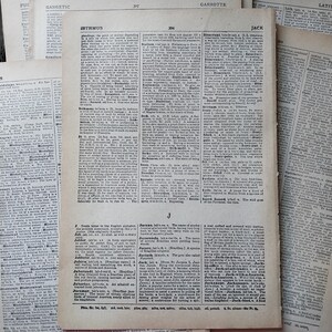 50 Vintage Dictionary Book Pages, English Text, Naturally Aged Dark ...