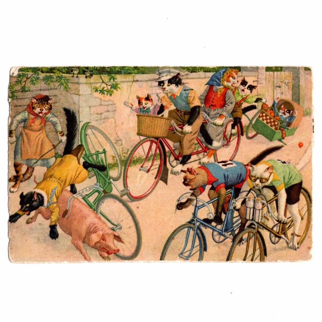 Vintage Anthropomorphic Cats Postcard, Bicycle Race With Pig, Alfred ...