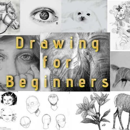 FREEHAND DRAWING A Manual for Teachers and Students Learn to | Etsy