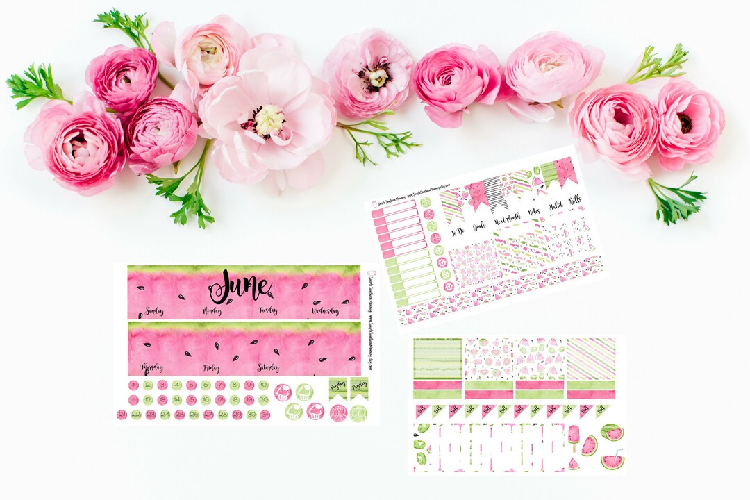 Watercolor Watermelon Choose Your Month Sticker Kit Monthly Kit for 7x9 ...