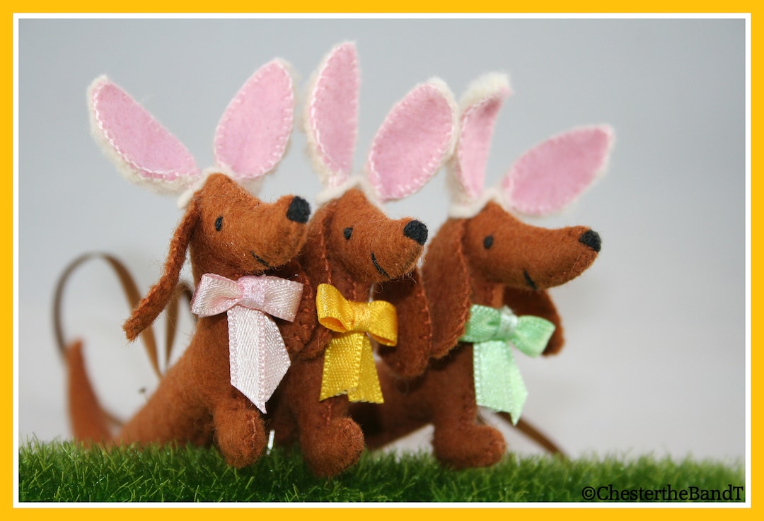 Easterbunny Dachshund, Dachshund Collection, Ornament, Easter - Etsy