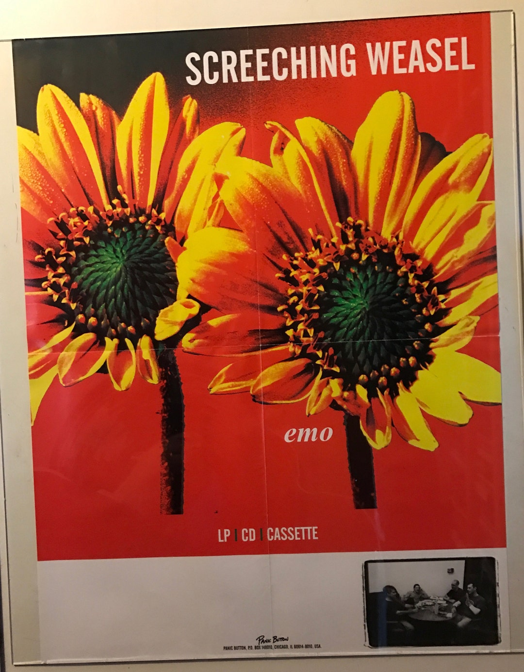 Screeching Weasel Promo Punk Rock Poster Lookout Records - Etsy