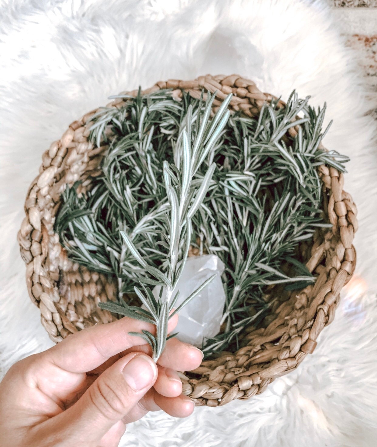 BULK Rosemary Rose Flower Herbal Bundle 10 Smudge Yarrow - Etsy