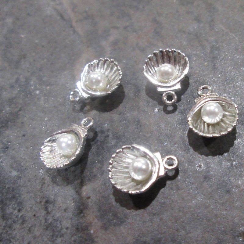 Shell Charms - Etsy