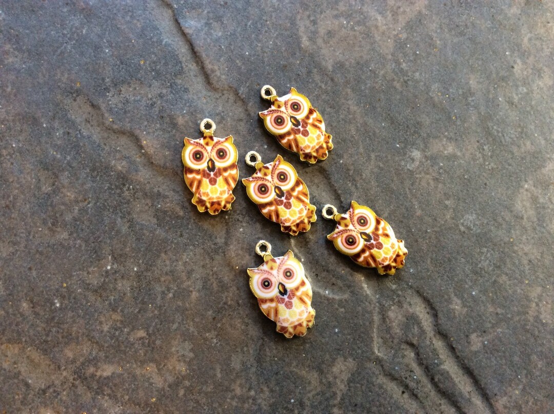 Colorful Owl Charms With Silver Finish Package of 5 Charms for Jewelry ...
