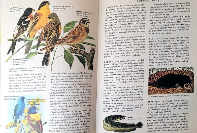 The Golden Book Encyclopedia of Natural Science, Unveiling Earth's ...