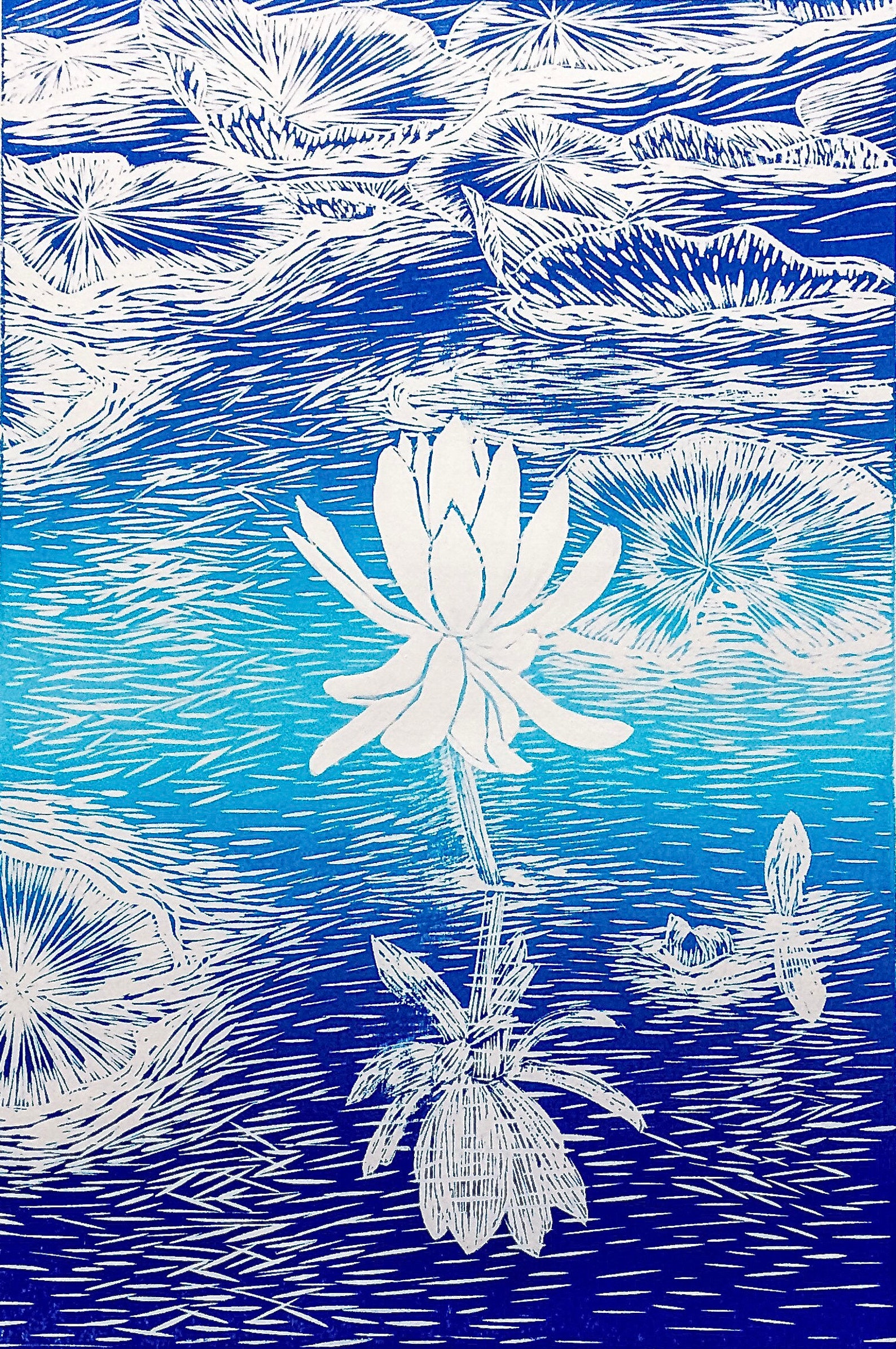 Water Lily Linocut Original Artwork for Sale A3 Blue Flower - Etsy Canada