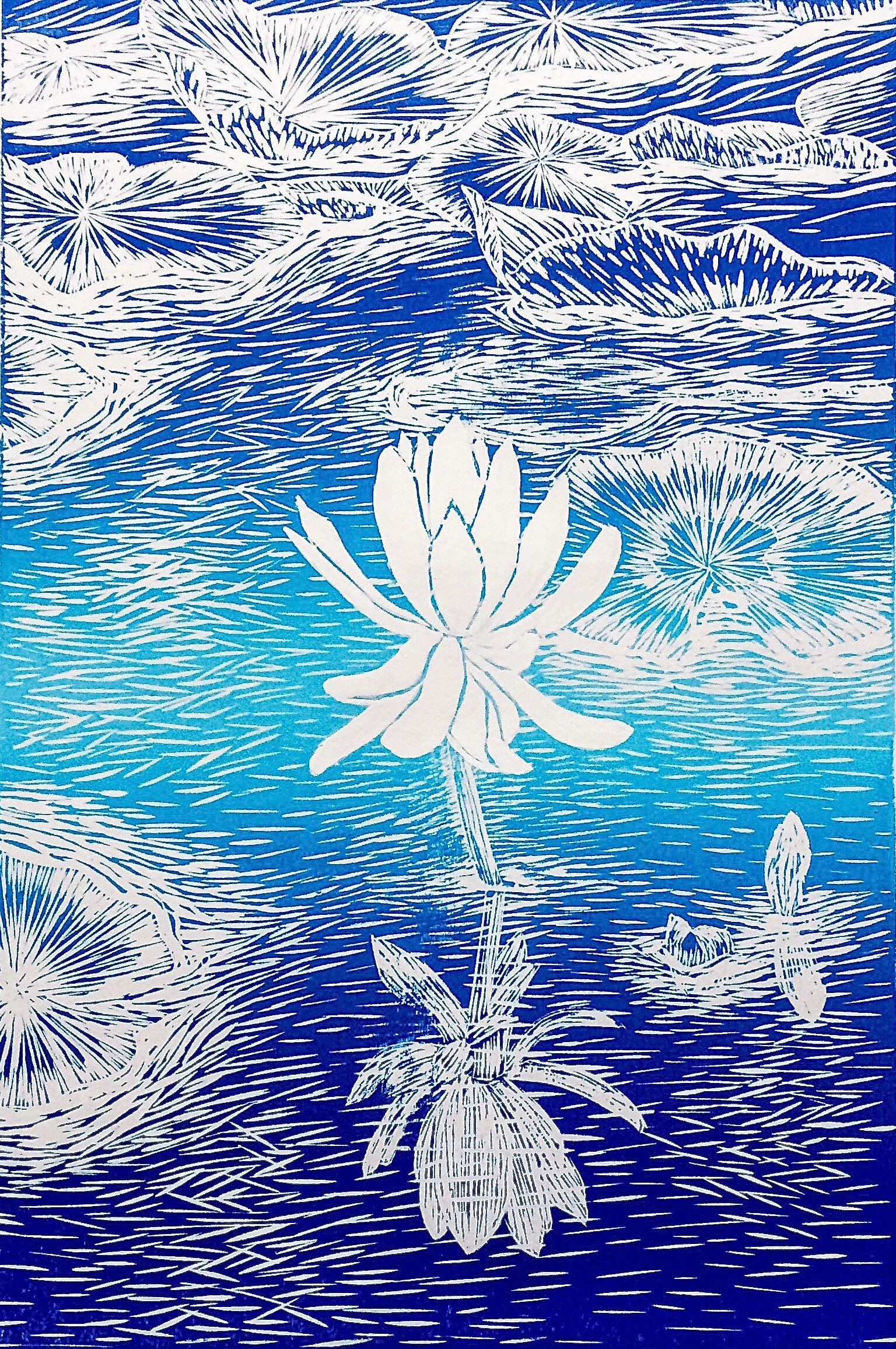 Water lily linocut original artwork for sale A3 blue flower | Etsy