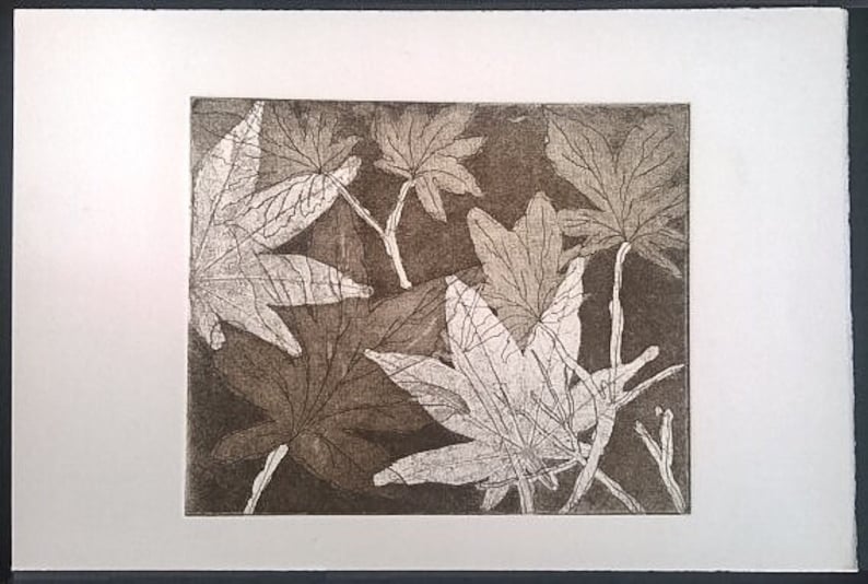 Japanese Maple Leaves Fine Art Etching Print Limited Edition, Acer ...