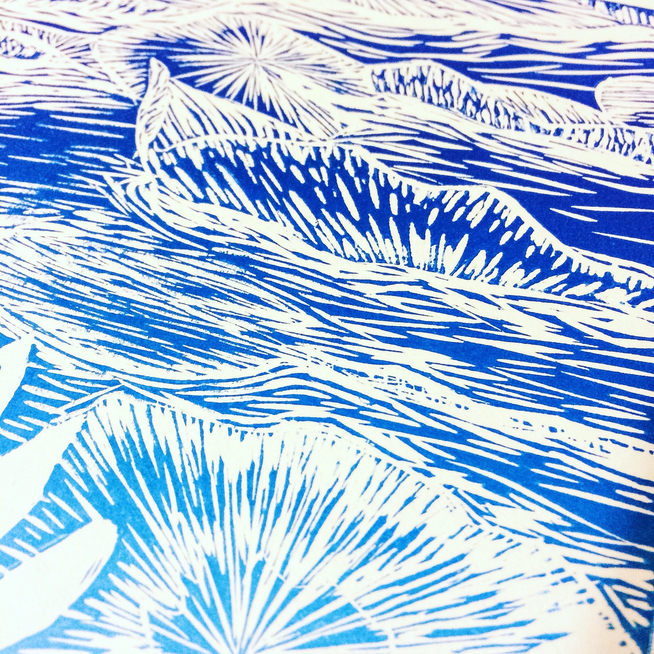 Water Lily Linocut Original Artwork for Sale A3 Blue Flower - Etsy Canada