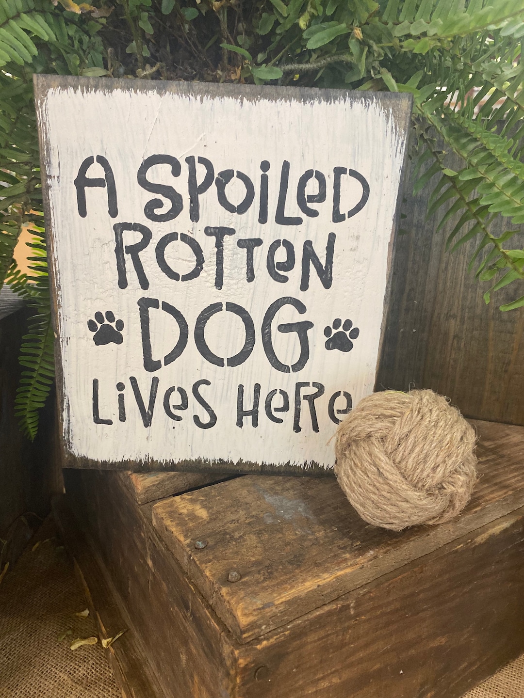 A Spoiled Rotten Dog Lives Here - Etsy
