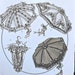 Victorian Era Parasol Patterns, UNCUT, Butterick 4955, Three Decorative ...