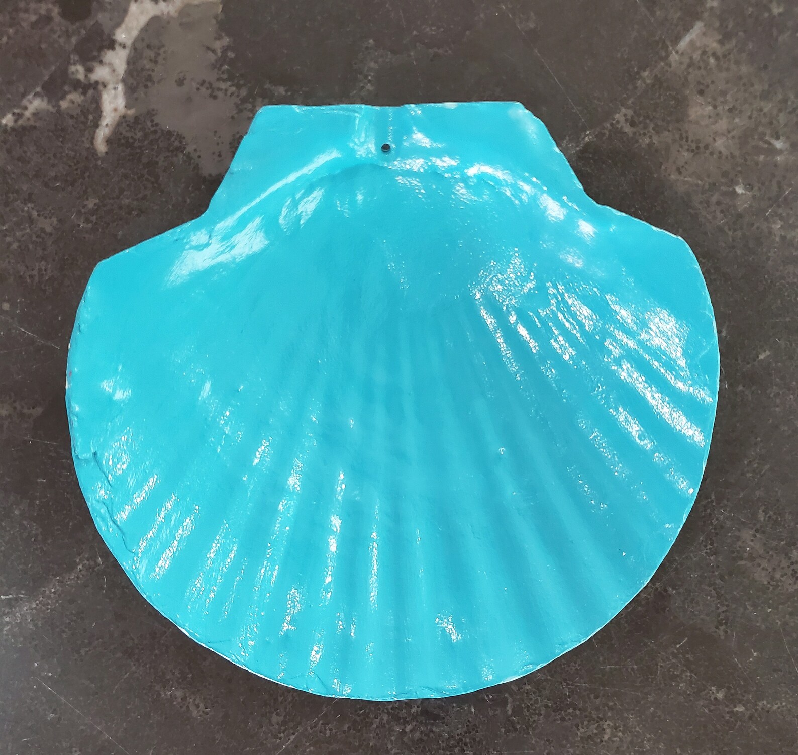 Painted Dot Art Shell, Peacock Inspired Hand Painted Scallop Shell ...