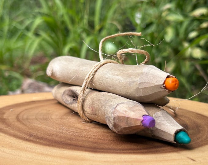 Hocus Pocus Colors Driftwood Crayon, Upcycled Wood, Twig Pencils ...