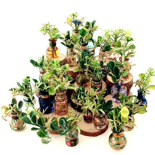 Miniature Plants - Etsy
