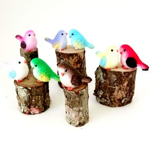 Miniature Resin Bird: Colorful Fairy Garden Accessory - Etsy