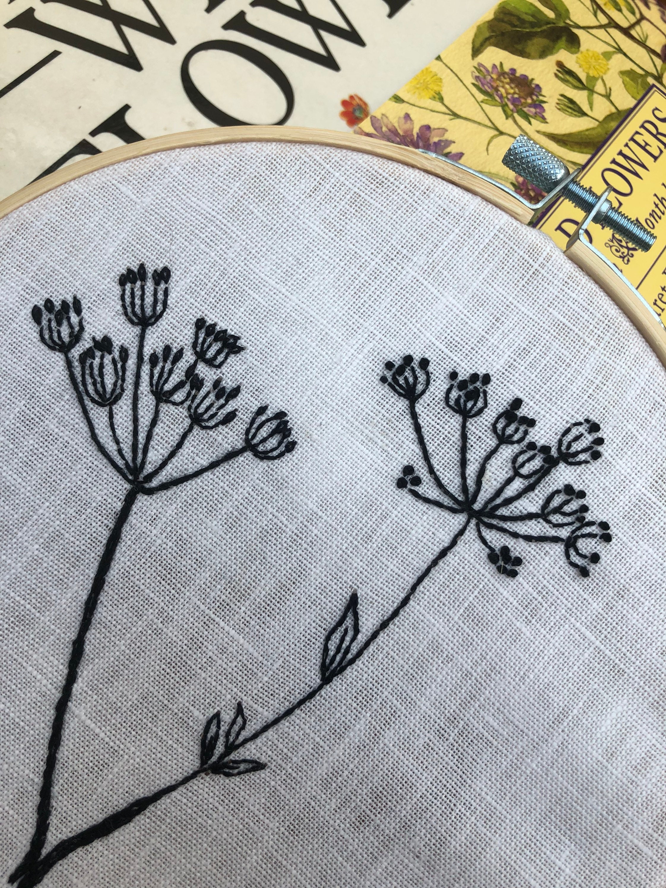 Cow Parsley Embroidery Pattern and Instructions. Wildflower Beginner ...