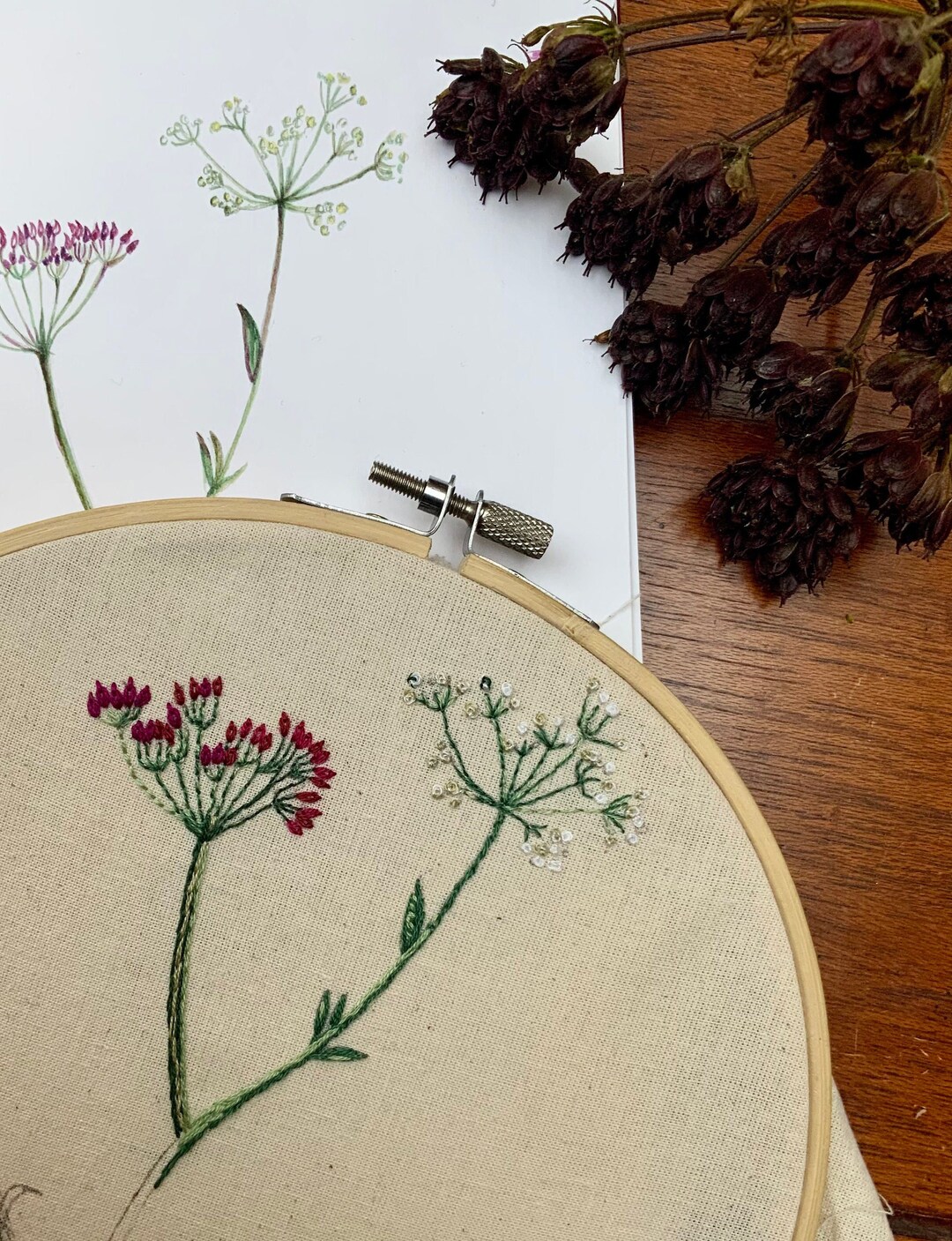 Cow Parsley Embroidery, Embroidery Pattern and Instructions, Embroidery ...