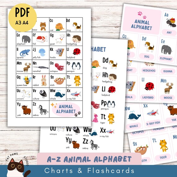 Zoo Animals Alphabets Posters Flash Cards Charts Animal Alphabet