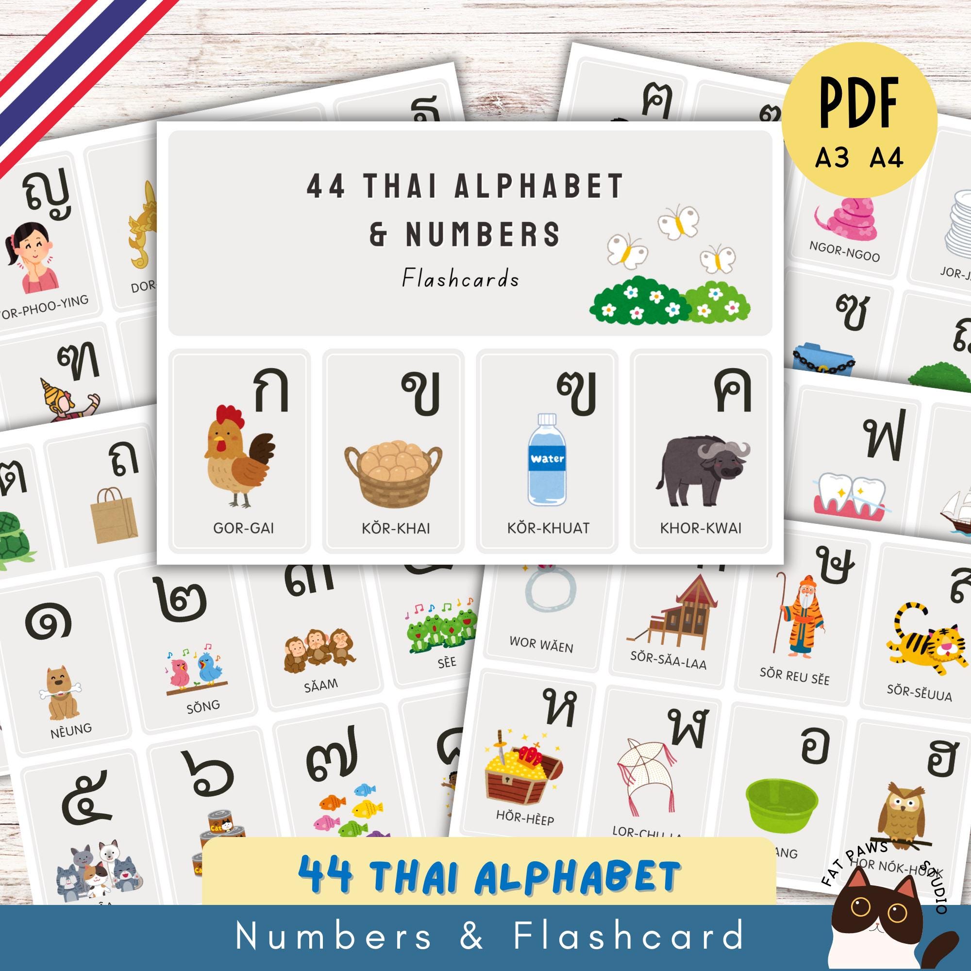Thai Alphabet & Numbers Flashcards: Printable Learning Cards (PDF) - Etsy