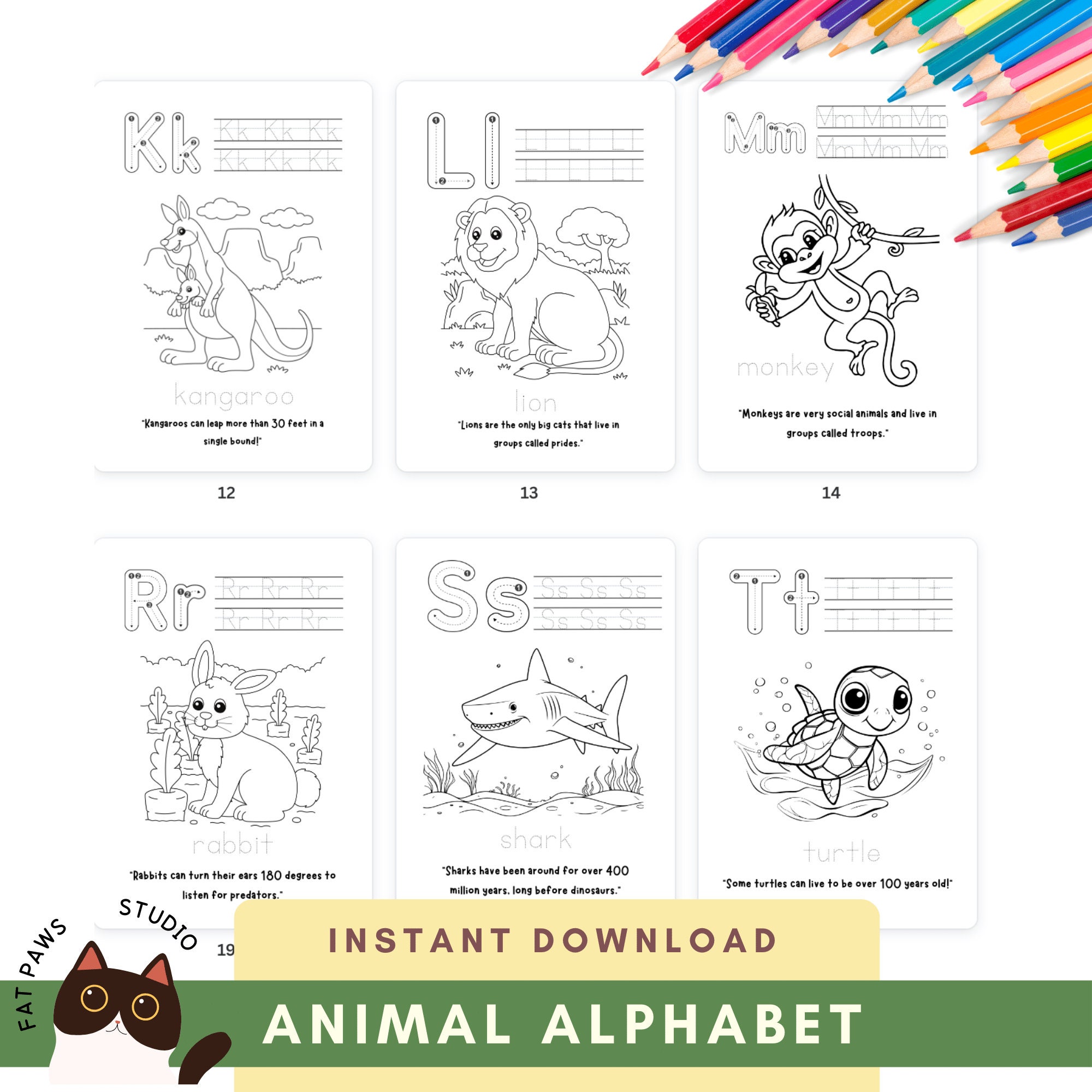 Magical Animal Alphabet Book - A to Z Fun Facts and Stories for Kids ...