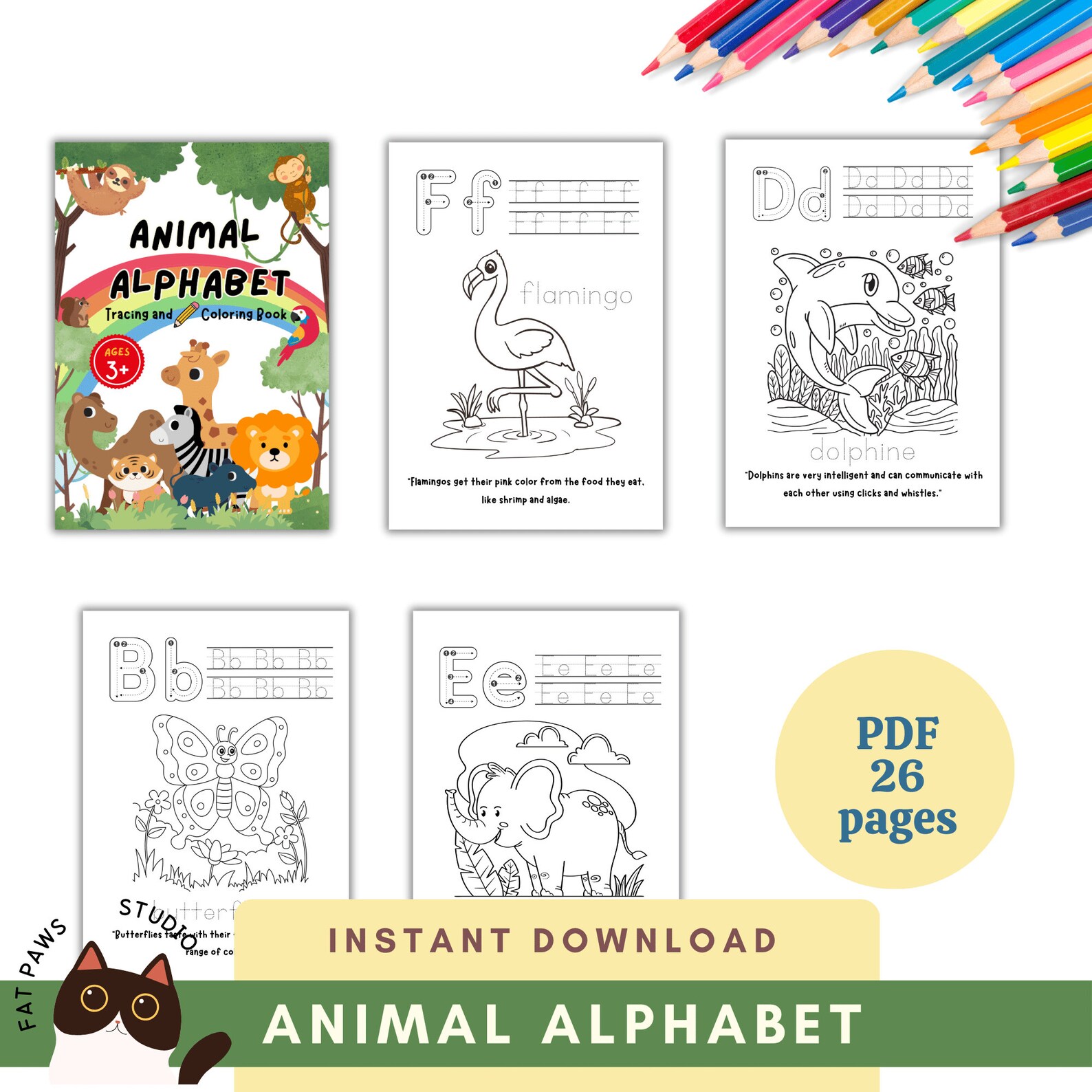 Magical Animal Alphabet Book - A to Z Fun Facts and Stories for Kids ...