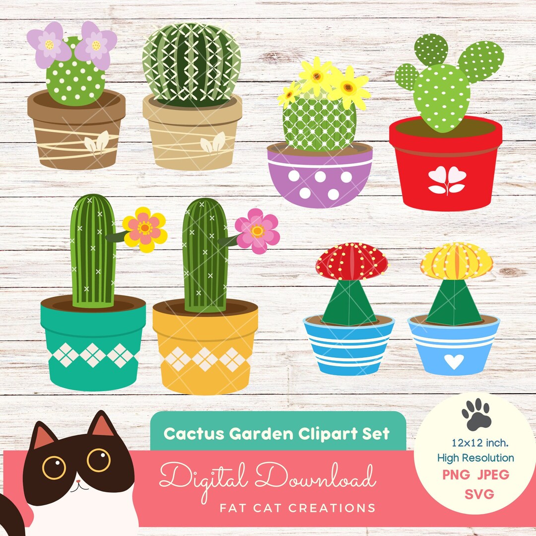 Colorful Cactus Digital Clipart , Graphic Illustration , Web Graphic ...