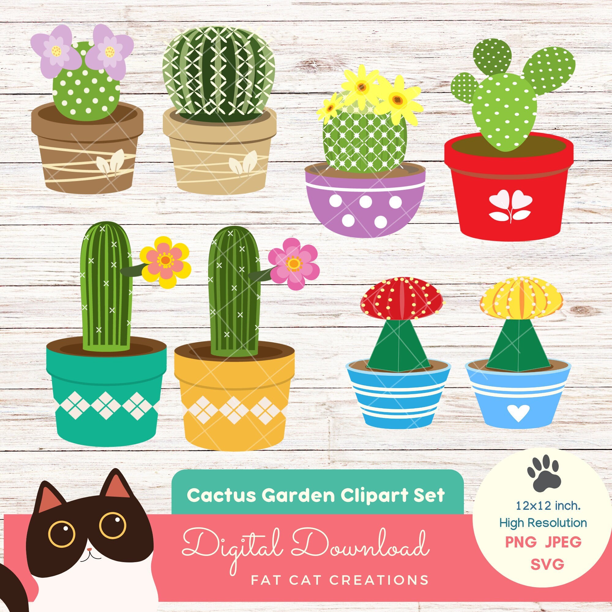 Colorful Cactus Digital Clipart , Graphic Illustration , Web Graphic ...
