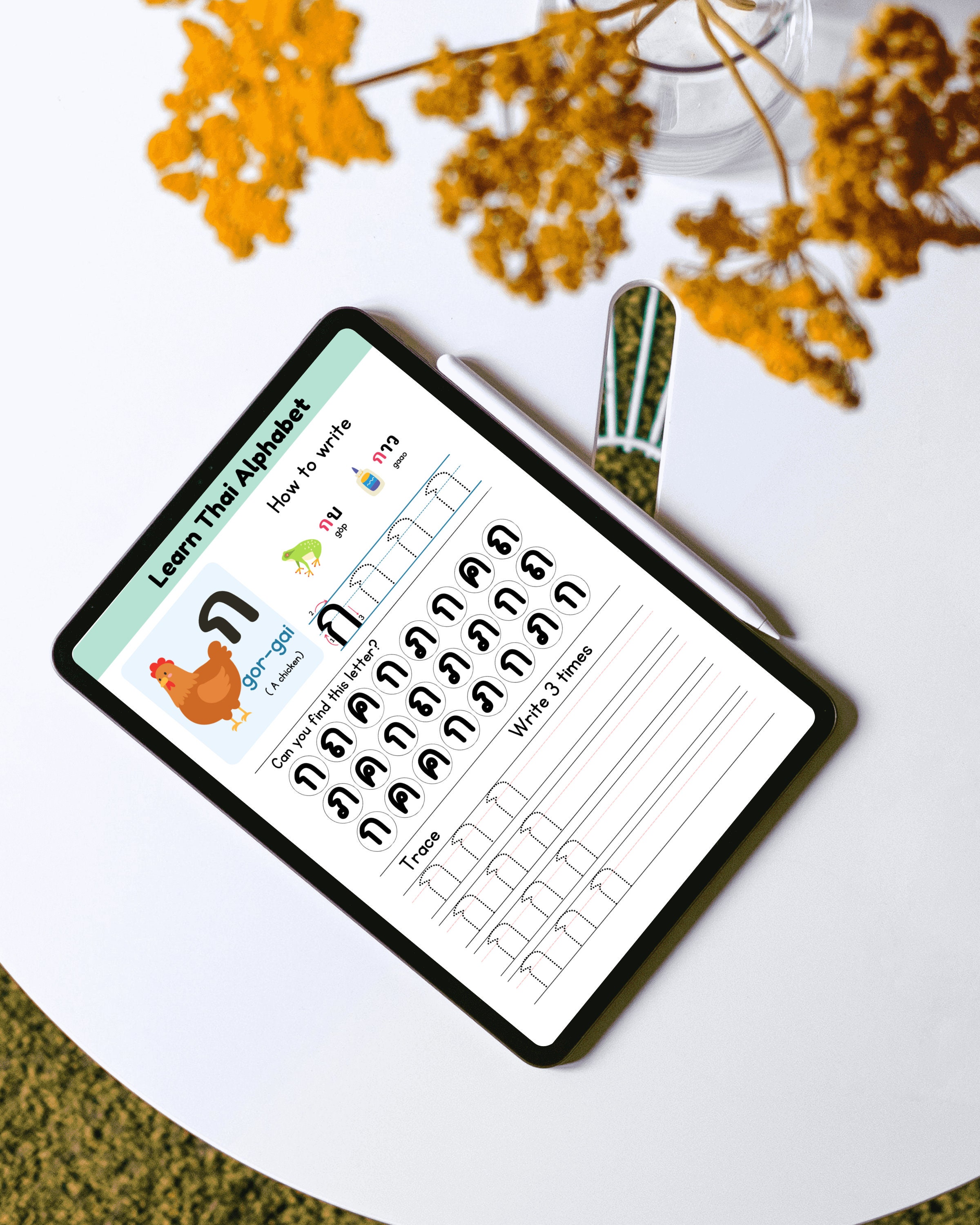 Thai Alphabet Tracing Worksheets: Consonant Learning (PNG, PDF) - Etsy