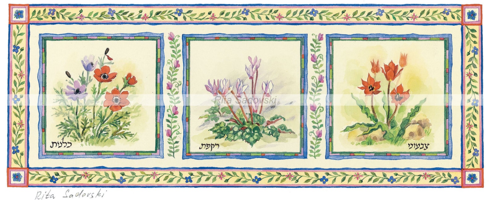 Judaica, Art, Flowers of the Land of Israel - Etsy