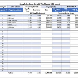 Annual Bi-weekly Timecard Payroll Calculator - Etsy