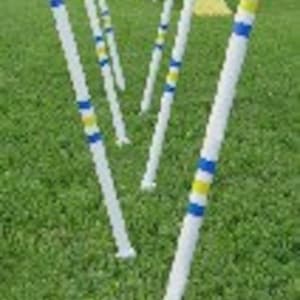 Dog Agility Weave Poles - 12 Stick in the Ground Weaves. Superior ...