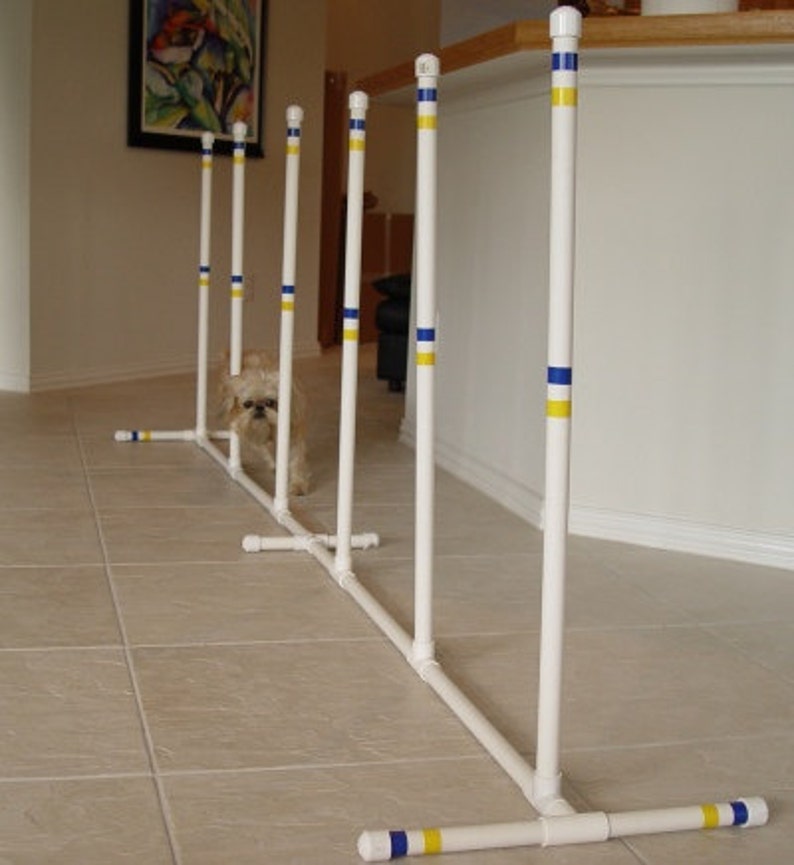 Dog Agility Equipment Indoor - Outdoor Weave Poles - Set of 6 Weaves ...