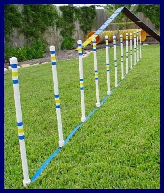 Dog Agility Weave Poles 12 Stick in the Ground Weaves. - Etsy