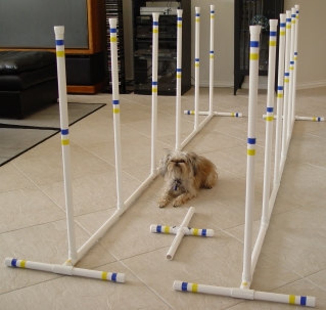 Dog Agility Indoor - Outdoor Weave Poles - Set of 12.. Superior ...