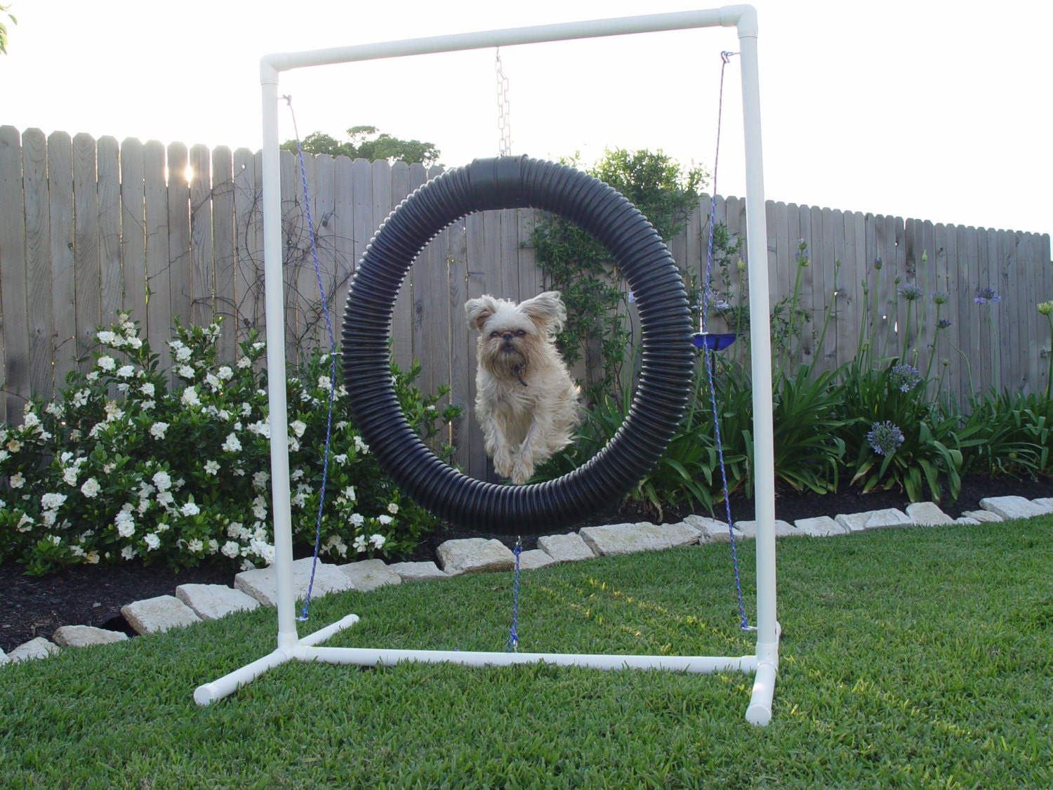 Dog Agility Tire Jump - Made From Superior Grade PVC. AKC Regulation ...
