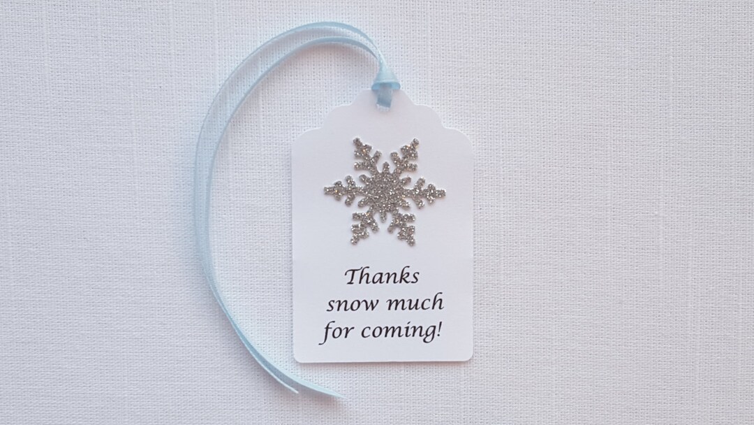 Silver Snowflake 'thanks Snow Much for Coming!' Favor Tags, Set of 12 ...