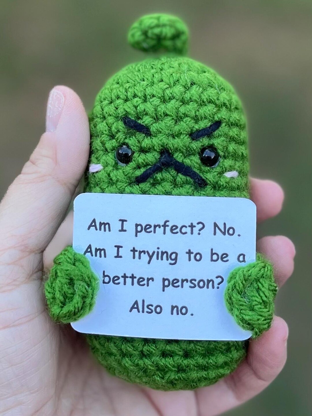 Anti Emotional Support Pickle/handmade Crochet Pickle/custom Pickle ...