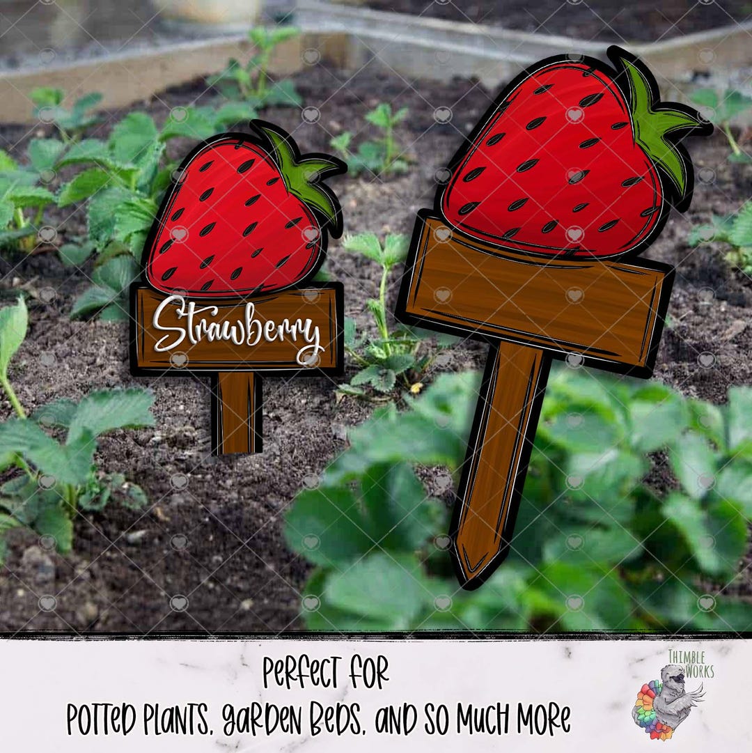Strawberry Garden Stake Sublimation Design Bundle (PNG): Potted Plants ...