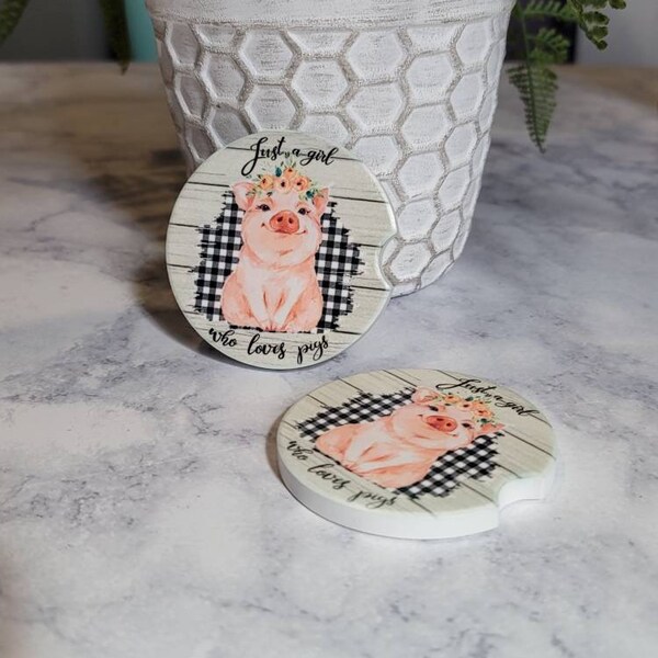 Pig Coasters - Etsy