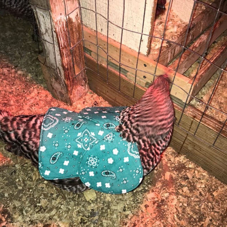 Chicken Saddle Wing Protector Hen Apron Bantam - Etsy