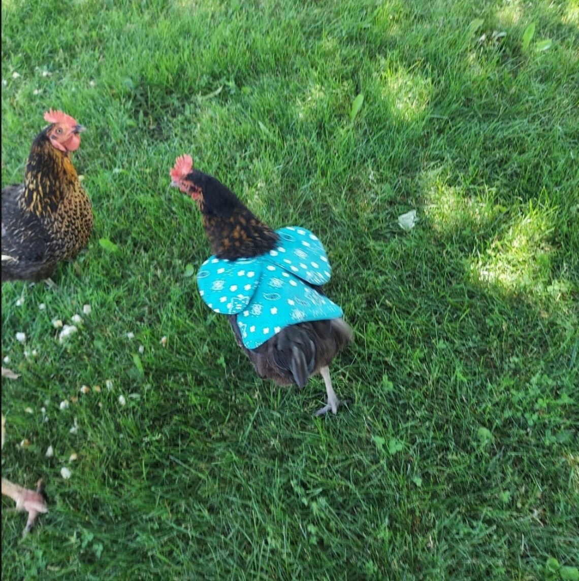 Chicken Saddle Wing Protector Hen Apron Bantam - Etsy