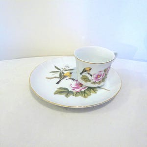 Vintage Shafford Chinese Garden Goldfinch Snack Plate and Cup Japan - Etsy