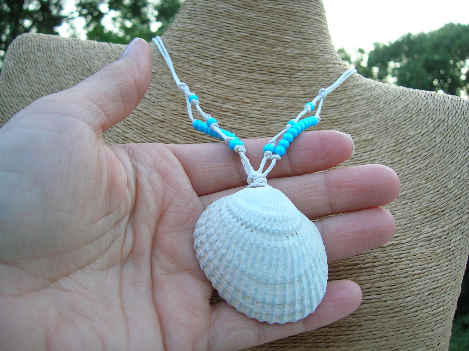 Cockle Shell Necklace on White Hemp Cord With Turquoise Colored Beads ...