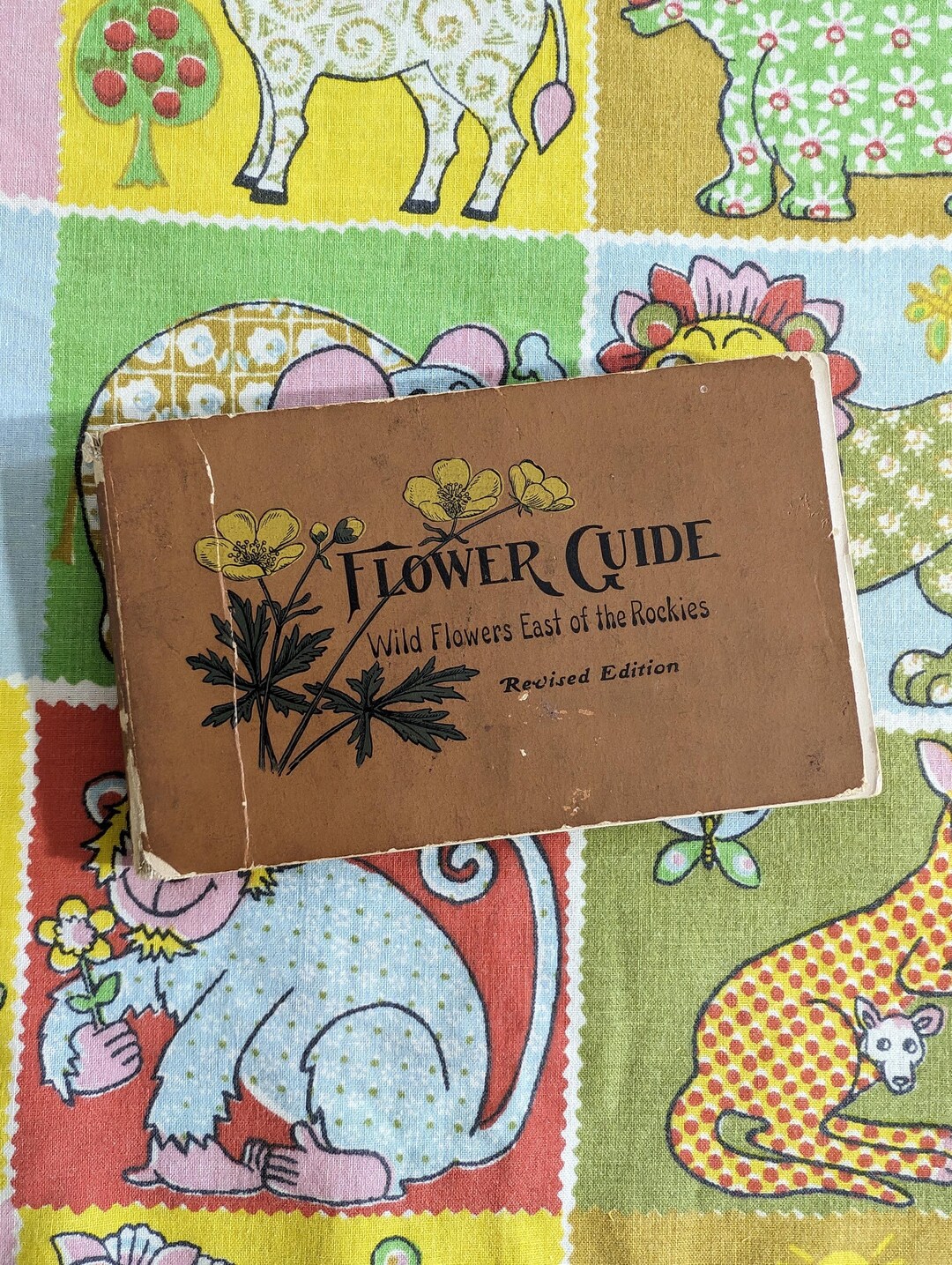 Flower Guide | Wild Flowers East of the Rockies | Vintage Flower ...